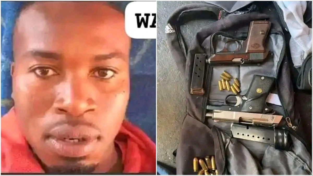 Murder Mystery: Zimbabwean Gardener Wanted in Shocking Home Invasion ...